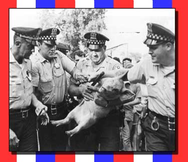 Pig for President – at least we knew it was a joke in the 60’s! | Craig ...